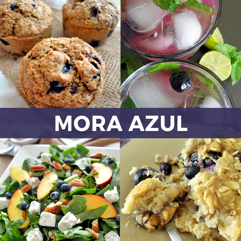 Arándano azul o mora azul - Pizca de Sabor