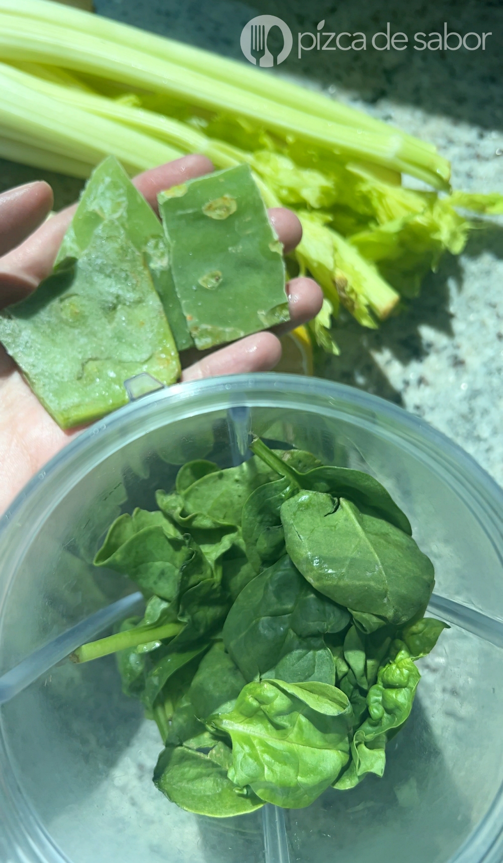 Jugo de nopal - Pizca de Sabor
